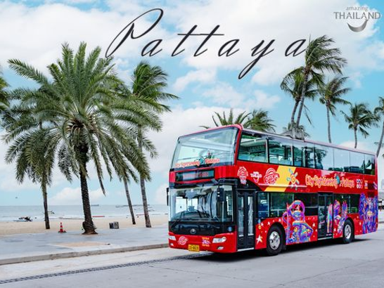 Elephant Hop-On Hop-Off Bus Tour