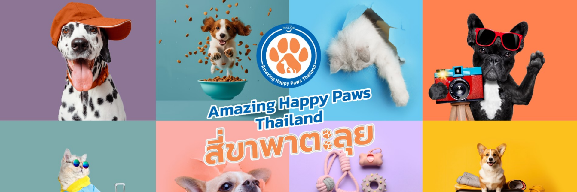 Amazing Happy Paws Thailand