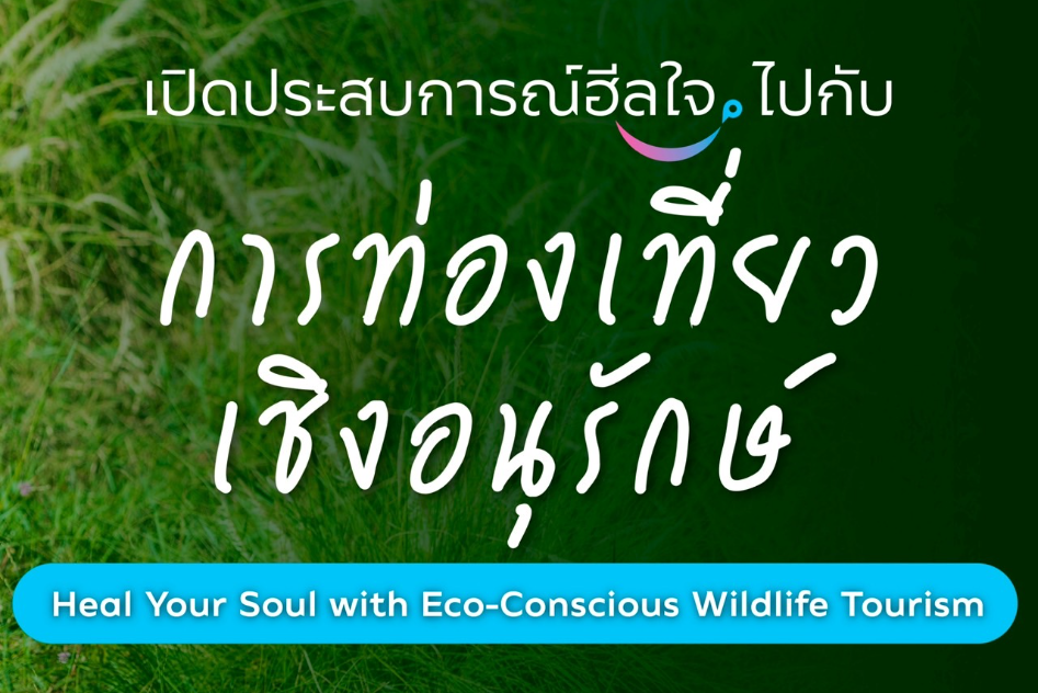 Heal your soul with Eco-conscious wildlife Tourism